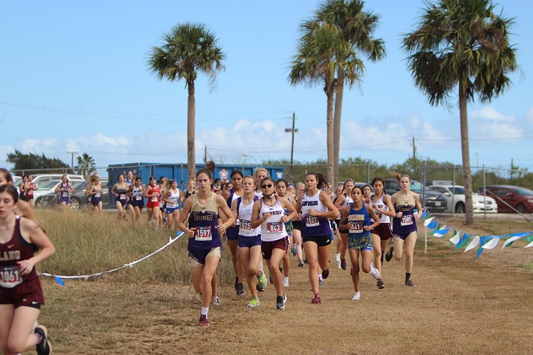 Shiner Lady Comanche Cross Country - LONG RUN: Shiner girls head to state meet as regional ...